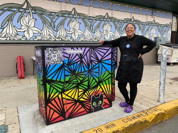 Local Artists Paint Electrical Boxes in Golden Hill – GGHCDC