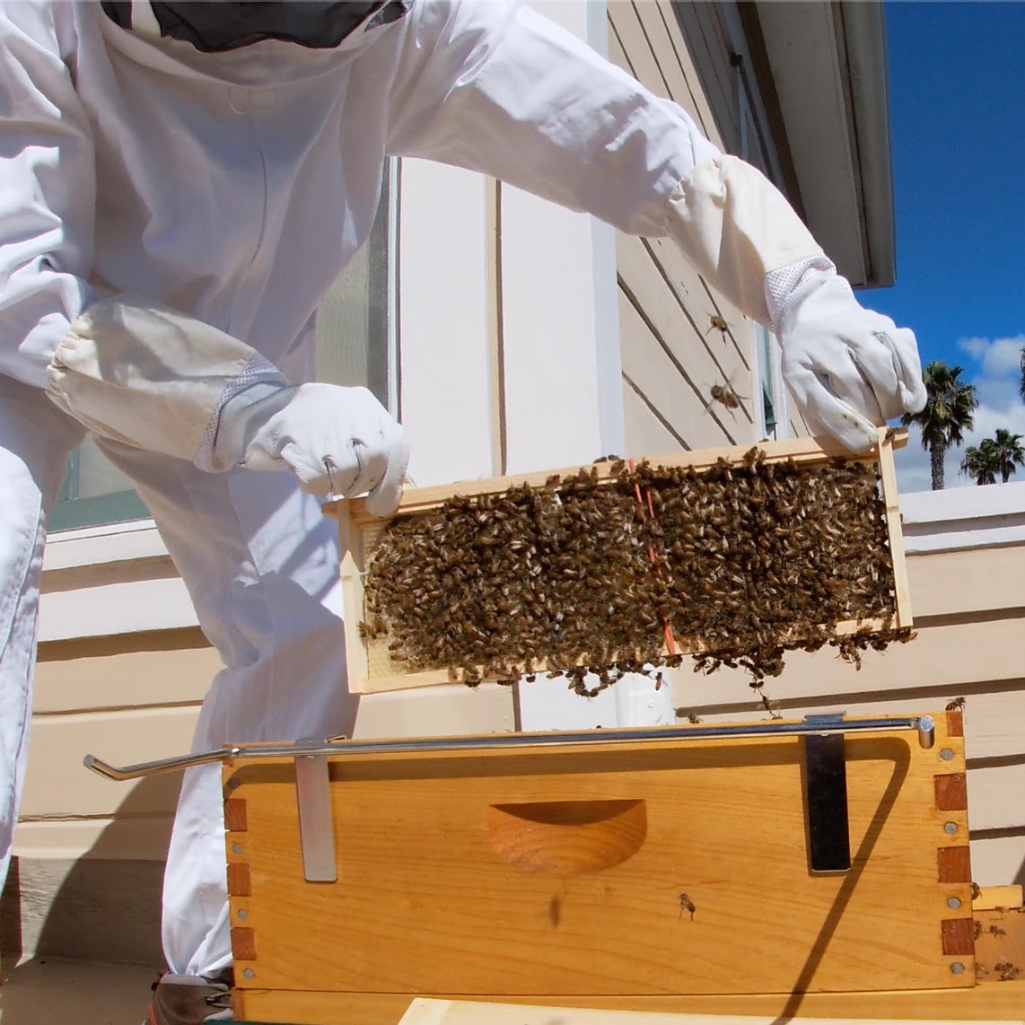 Someone You Should Know: Judd Curran, owner of Happy Bee – GGHCDC